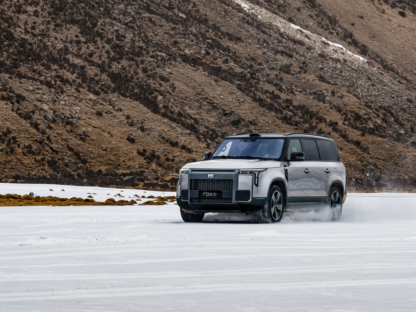ROX Motors